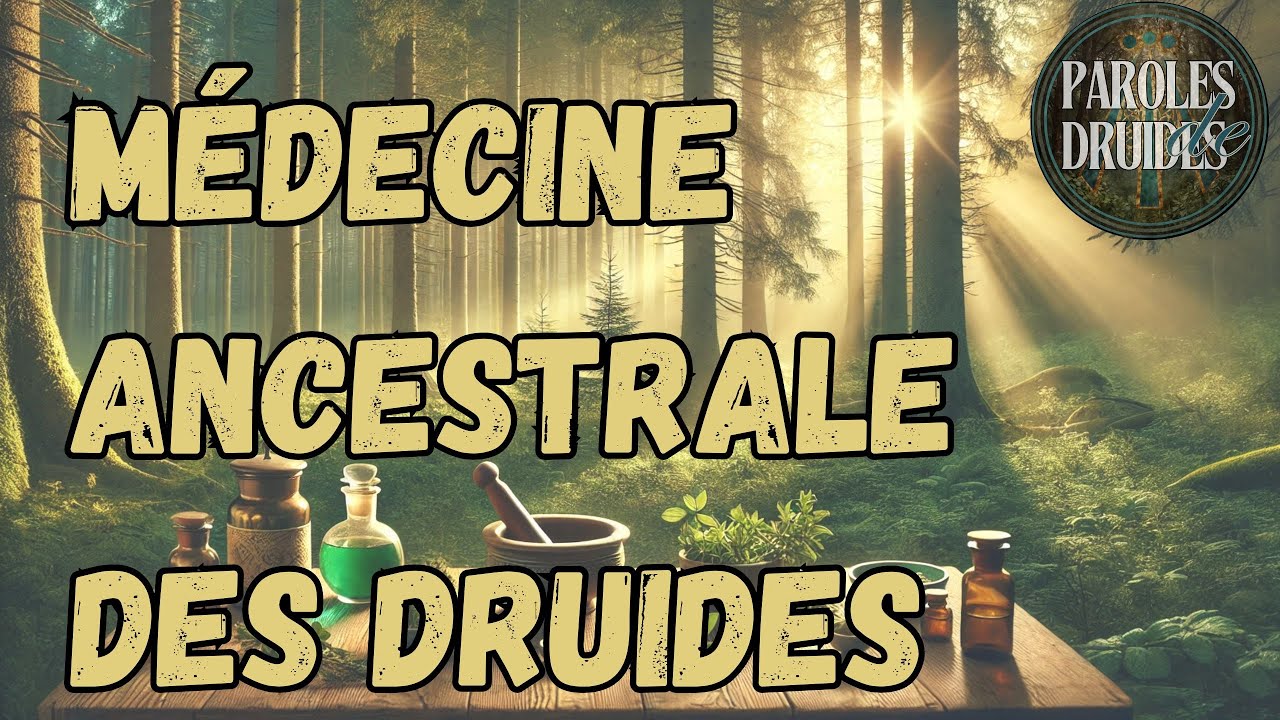 Médecine Ancestrale des Druides : Une Approche Holistique et ...