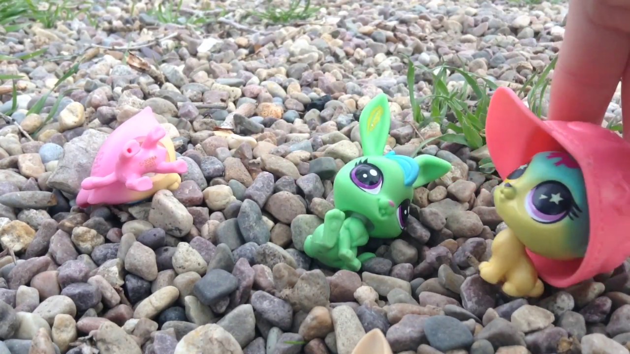 The lps go outside 13+( for coppa reasons) - YouTube