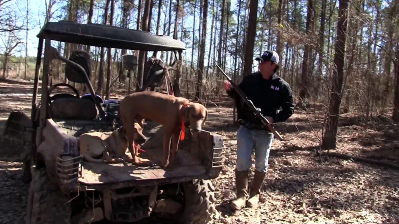 Hog hunting with 457 caliber air rifle part 3 - Southern Hoggers TV ...