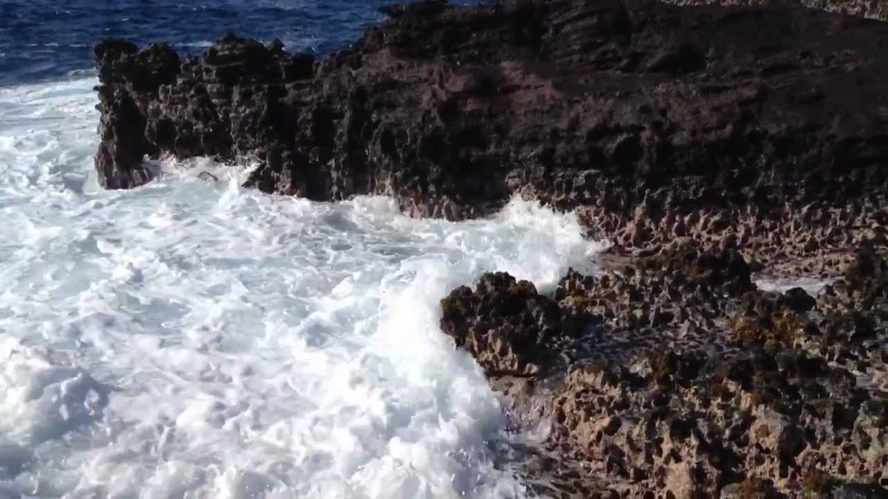 Bamboo Ridge - Honolulu, HI 1.2.2012 - YouTube