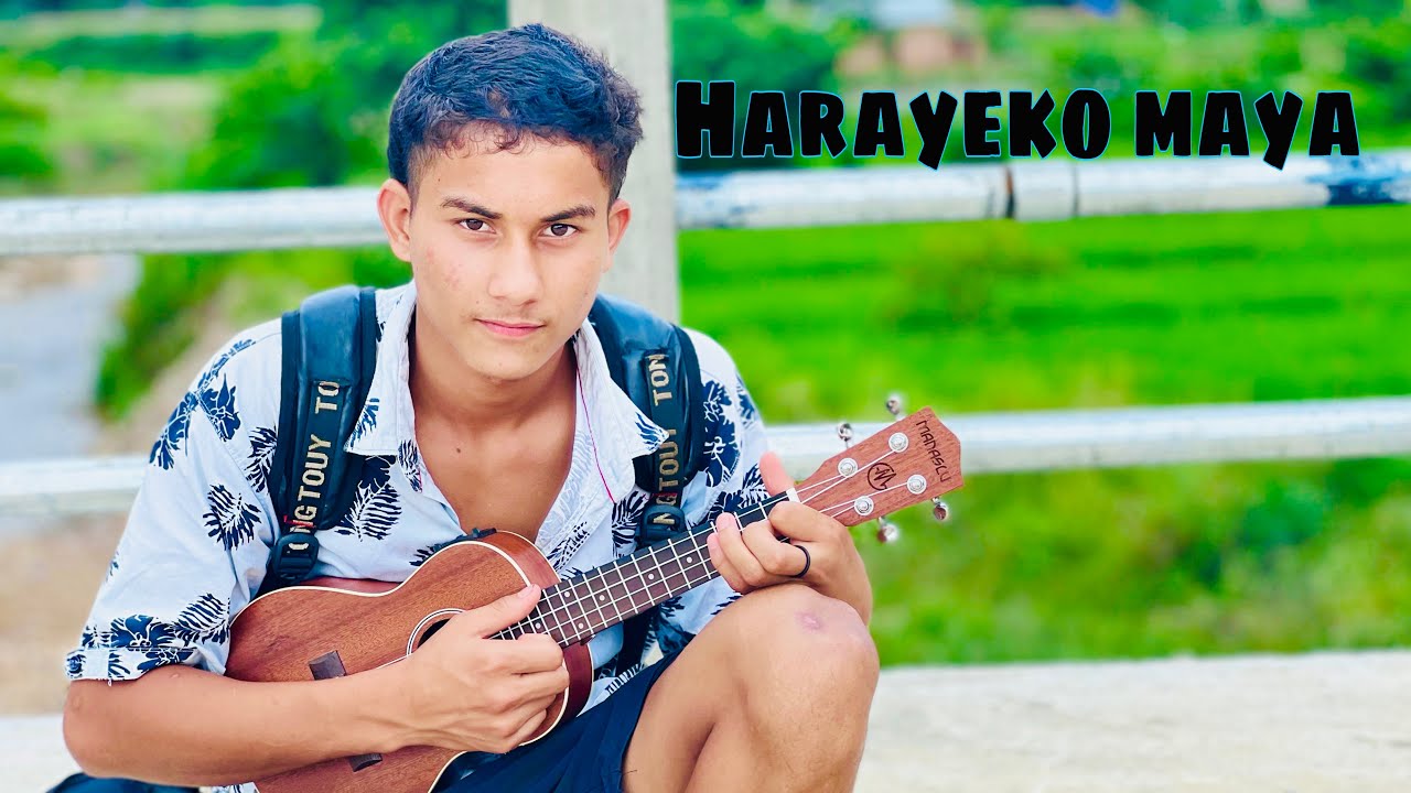 ShreeGo-Harayeko Maya Cover by Himal Bista - YouTube