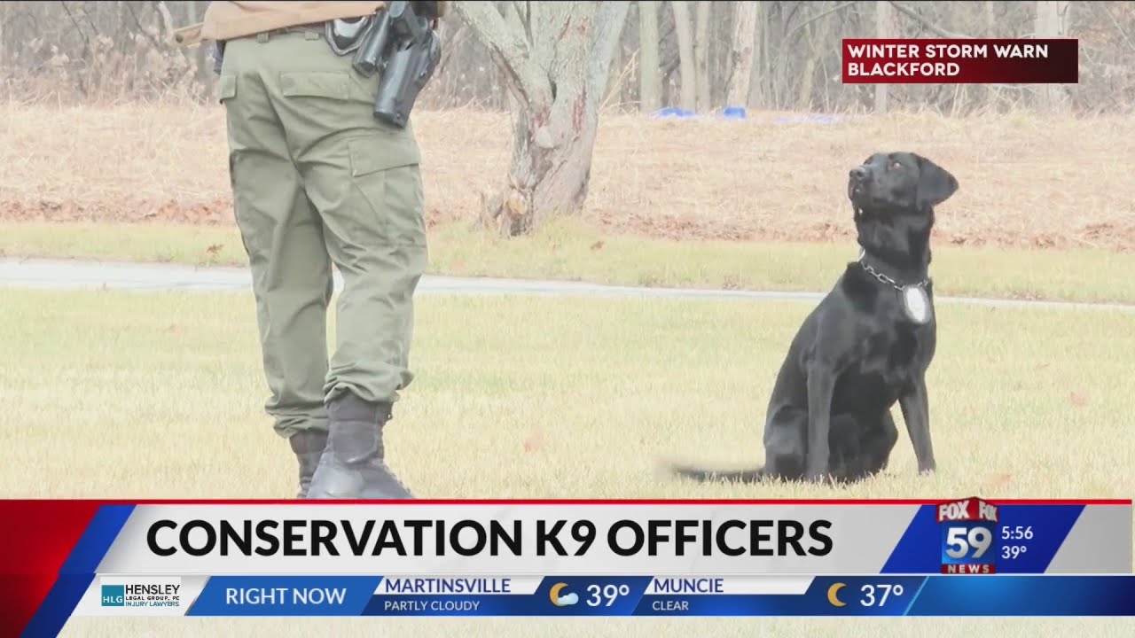 Indiana DNR K-9 program celebrates 25th anniversary - YouTube