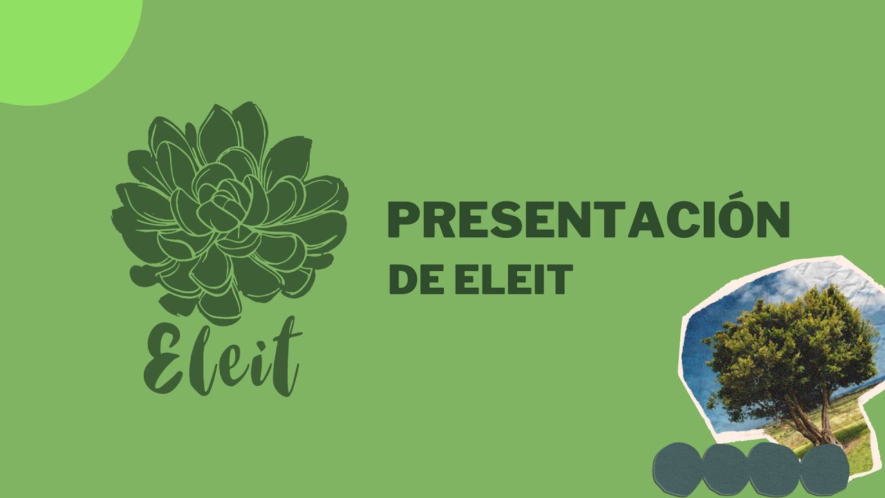 Presentación de Eleit - YouTube