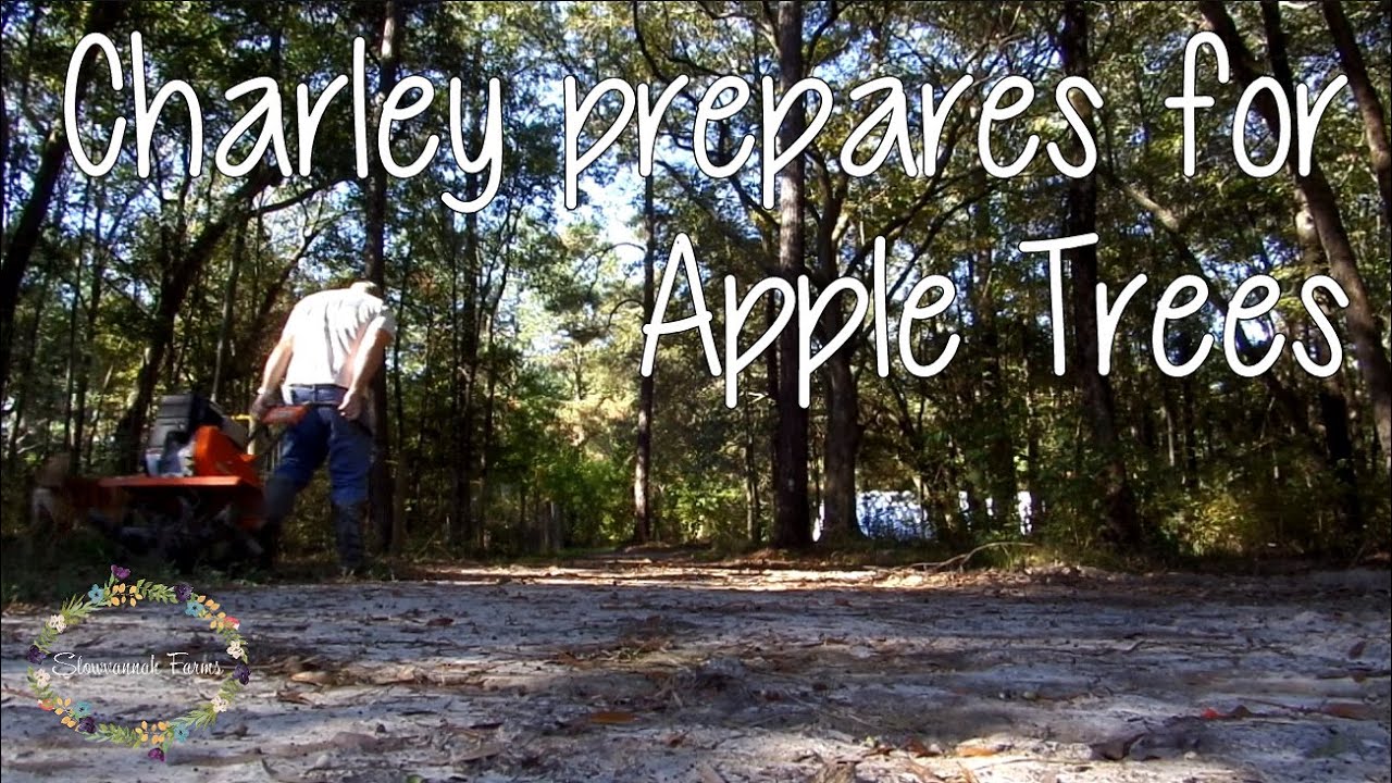 How to Grow Apple Trees in Georgia | Preparing the soil - YouTube