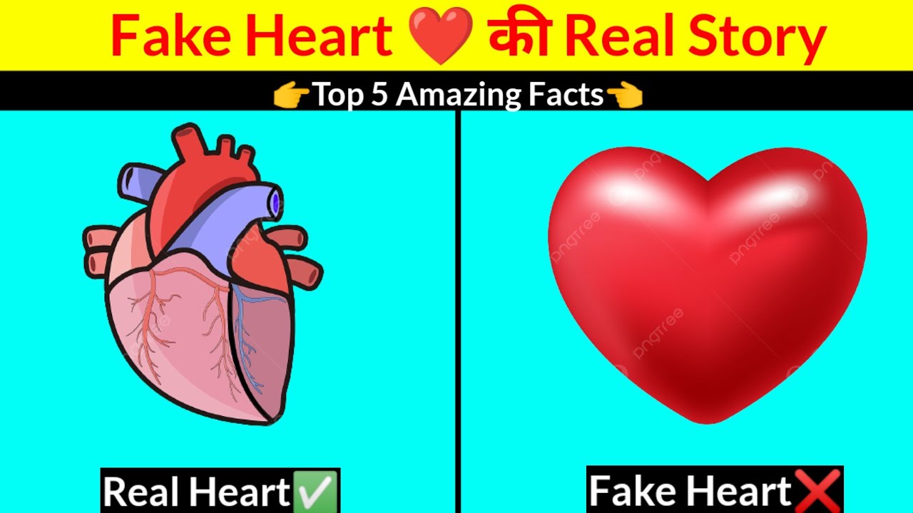Fake Heart ️ की Real Story | Top 5 Amazing Facts | Intersting Facts🤯 ...