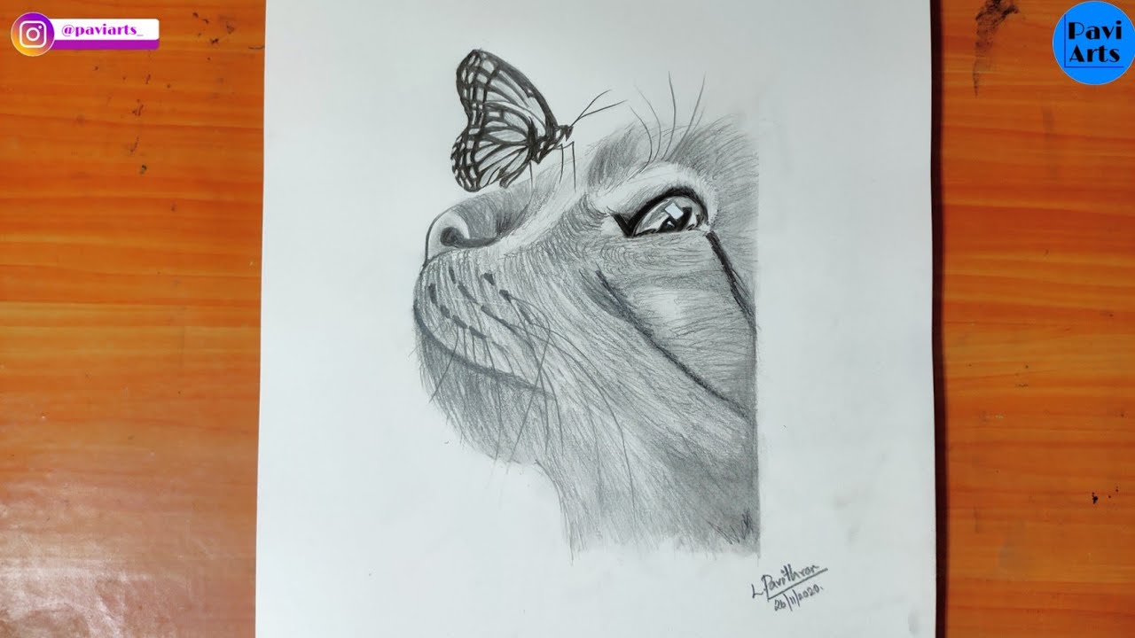 Cat Pencil Shading 💙 | Cute Cate Drawing | #art,#pencilshading,# ...