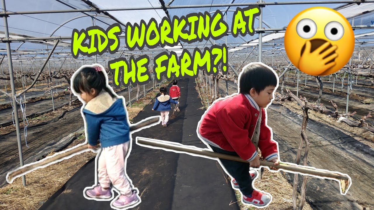 KIDS WORKING AT THE FARM?! | VISITING FARM 🇰🇷 - YouTube