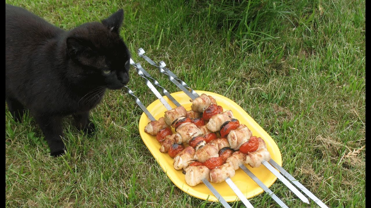 Сhicken barbecue recipe. Chicken souvlaki. Mushrooms on the grill. Cat ...
