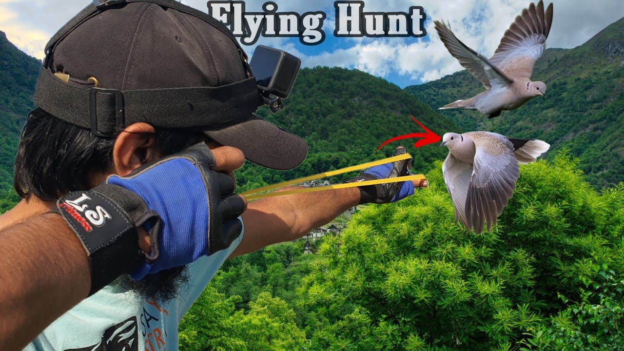 Slingshot Hunting Flying Dove Birds | Sling Shot Hunting - YouTube