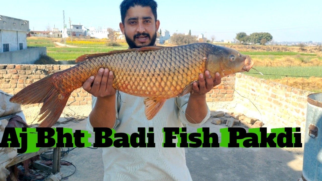 AJ FISH GRILL KE BHT MZA AYA ALHAMDULILLAH AJ BHT BRI FISH PAKDI 🥰 ...