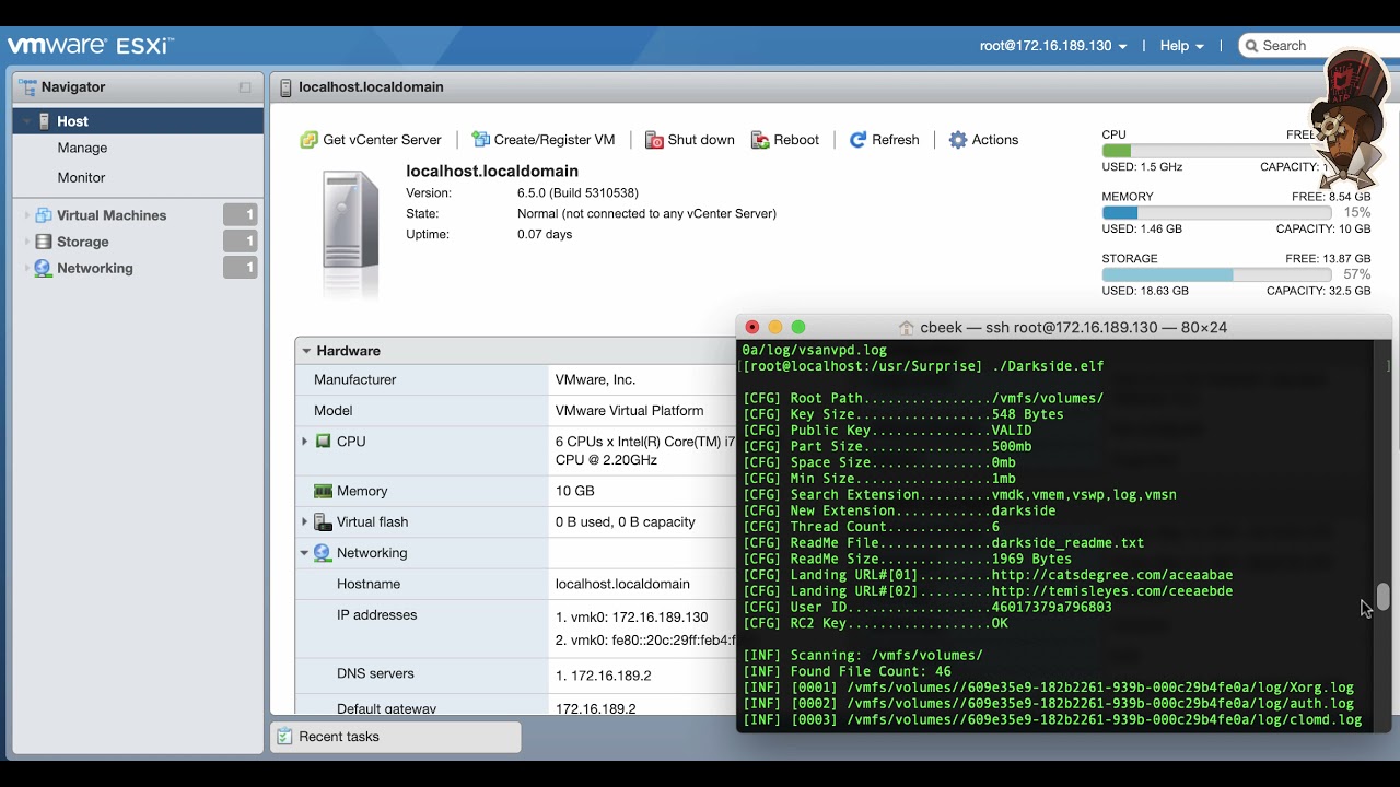 DarkSide Ransomware Linux variant Demo - YouTube