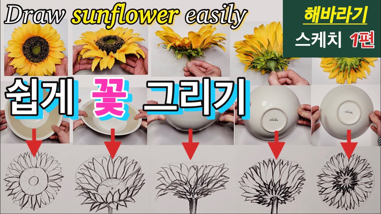 초보자를 위한 쉽게 꽃 그리기 강좌 쉽게 해바라기 그리기 1편 꽃 잘그리는 방법 Draw Sunflower Sketch 쉽게 꽃 그리기 같이그려요해바라기