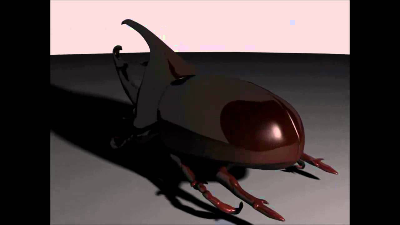 Centaurus Beetle - YouTube
