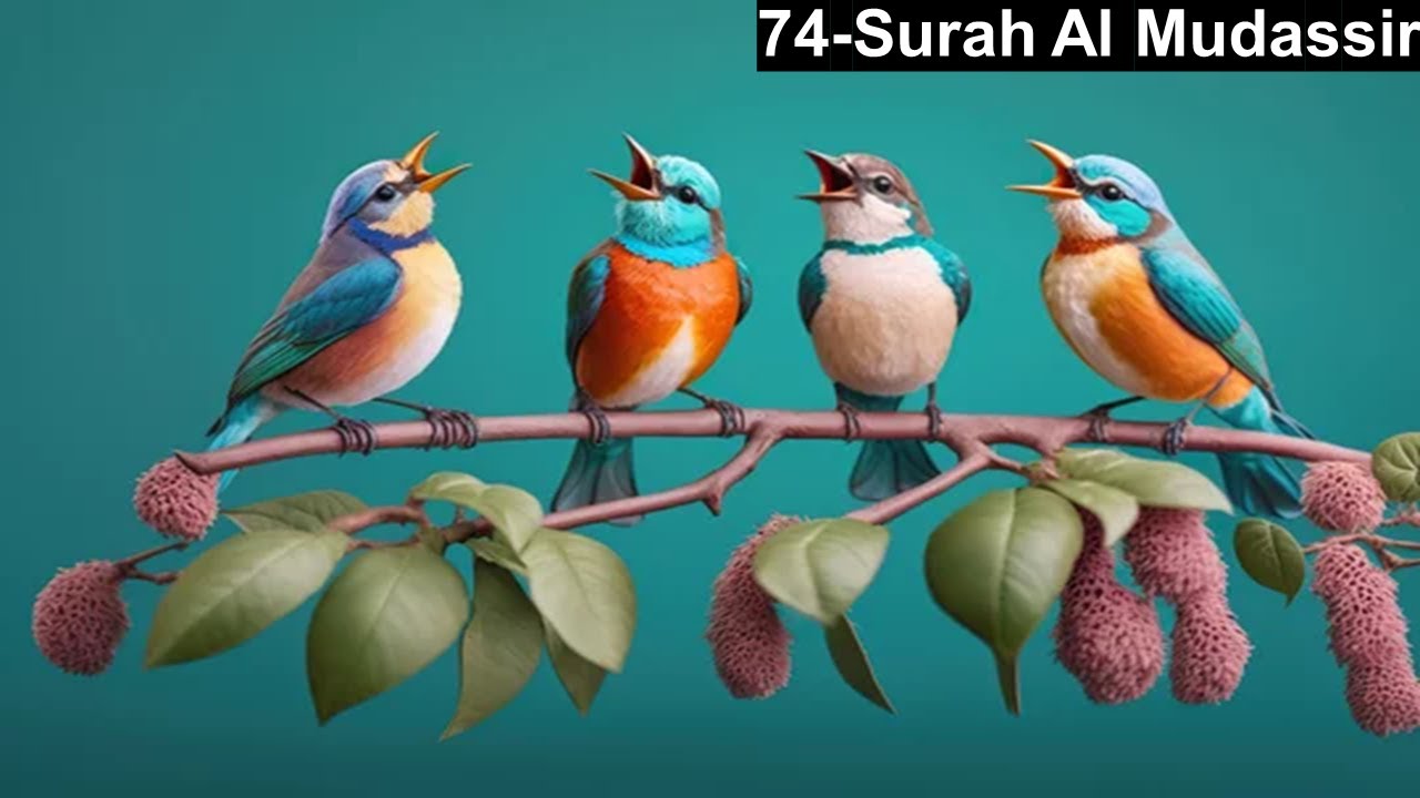 |Surah Al Mudassir |Surat Mudassir| By sayed Saleem| - YouTube