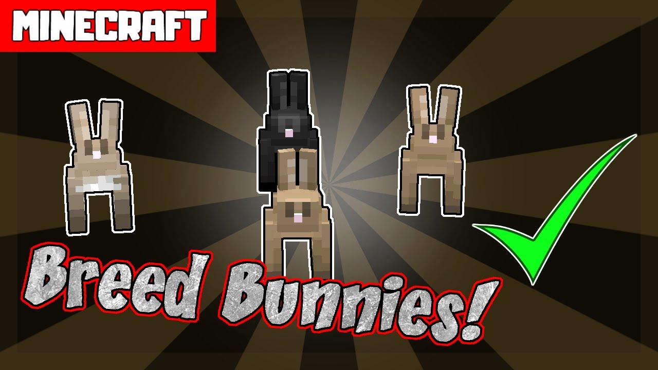 MINECRAFT | How to Breed Bunnies! 1.16.5 - YouTube