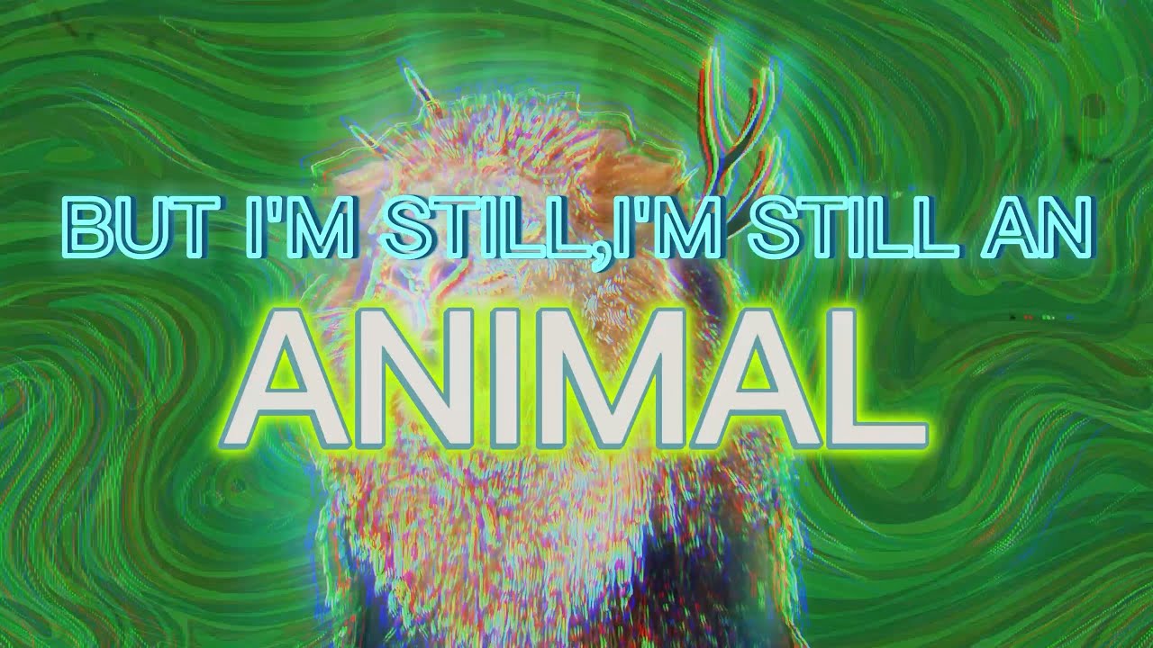 Miike Snow - Animal (Baddie Remix) - YouTube