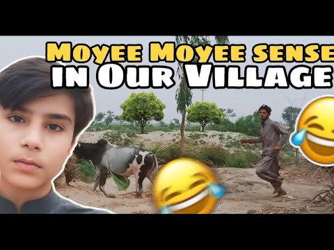 MOYEE MOYEE SENSE IN OUR VILLAGE 😂 - YouTube