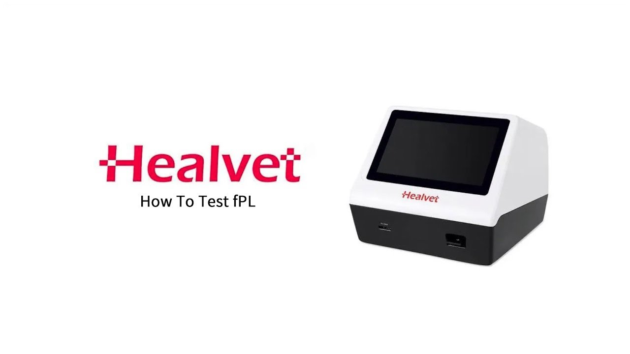 【fPL】How to use Healvet Immunofluorescence Analyzer to test fPL? - YouTube
