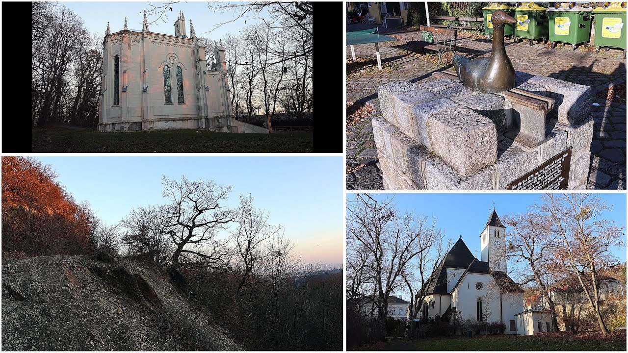 🇦🇹 Höhle, Kriegsrelikte & Lilli die Gans in Wien Sievering - 19. Bezirk ...
