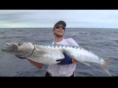 LE POISSON BANANE - YouTube