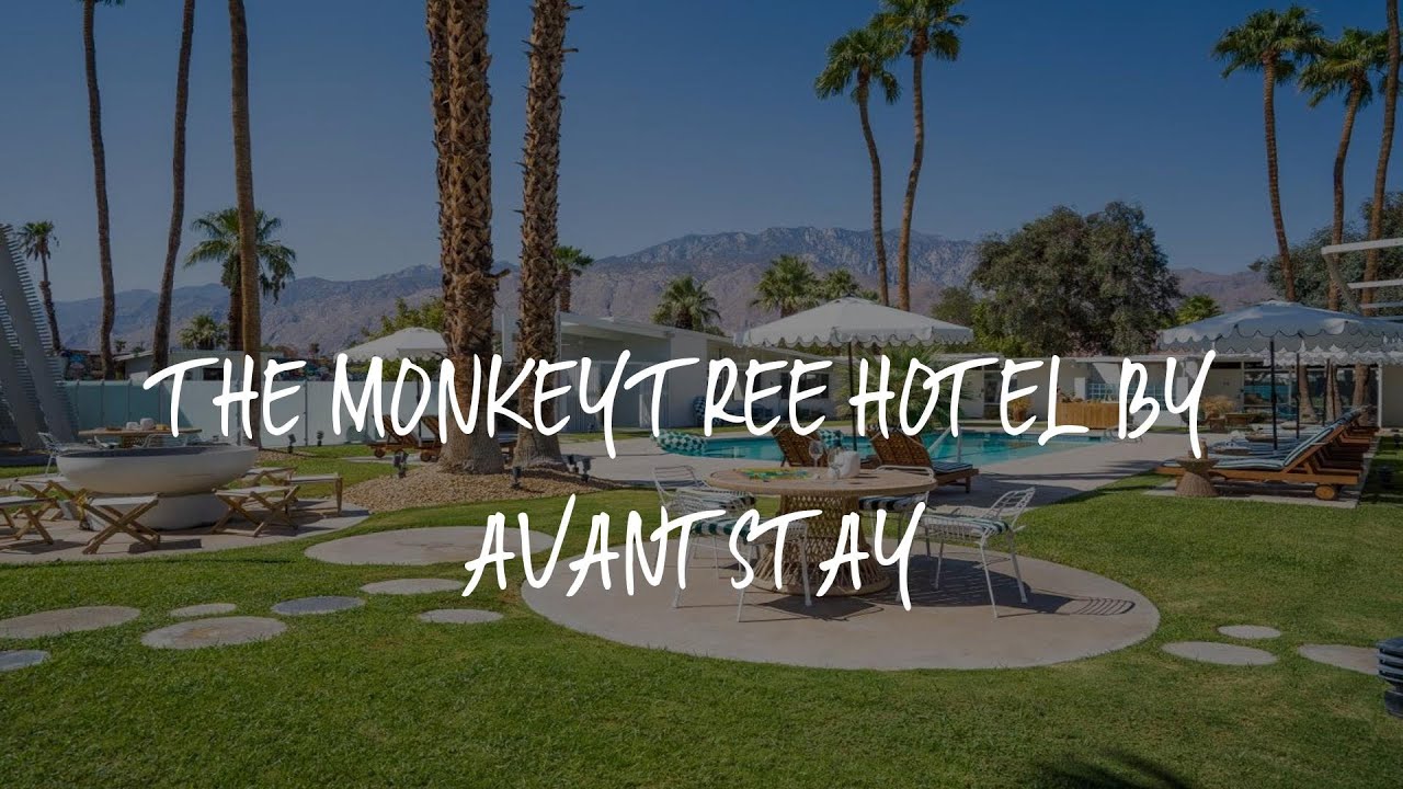 The Monkey Tree Hotel by AvantStay Review - Palm Springs , United ...