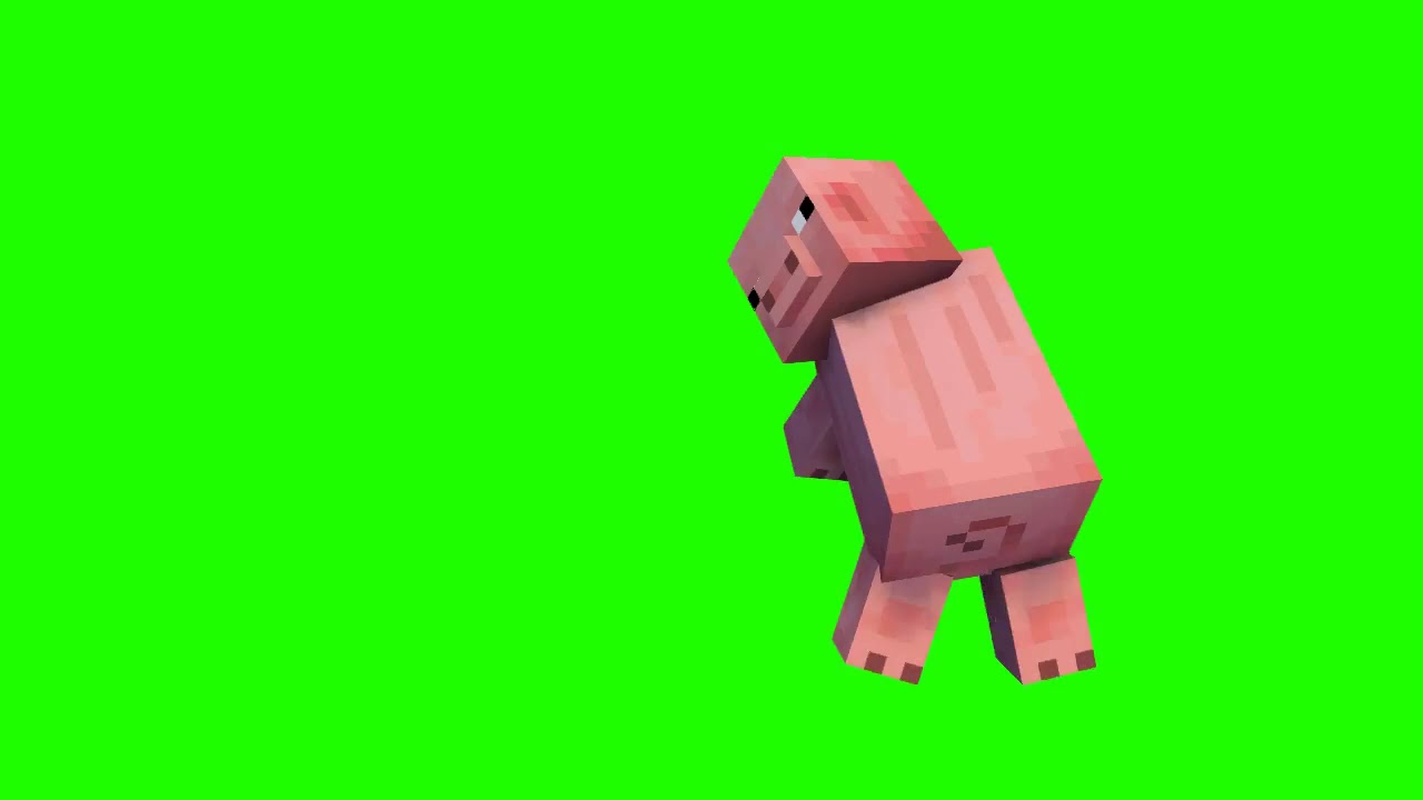 Dancing Pig Minecraft