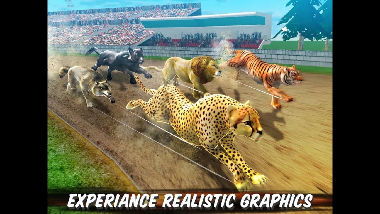 Wild Lion Racing Fever : The Animal Racing #5 | Tiger Beat All Wilds ...