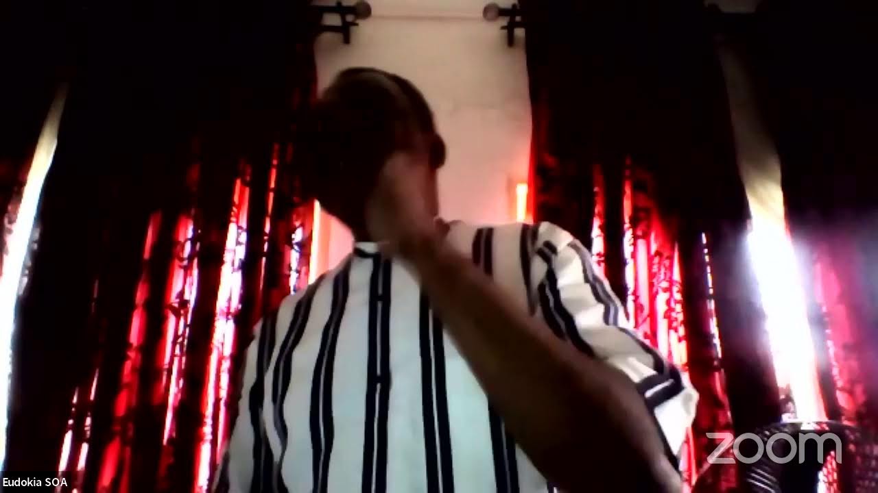 THE OVERTURN YouTube the-overturn-youtube