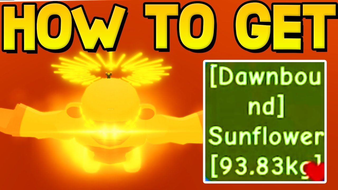 How To COMPLETE SUN GOD EVENT & GET DAWNBOUND MUTATION in GROW A GARDEN ...