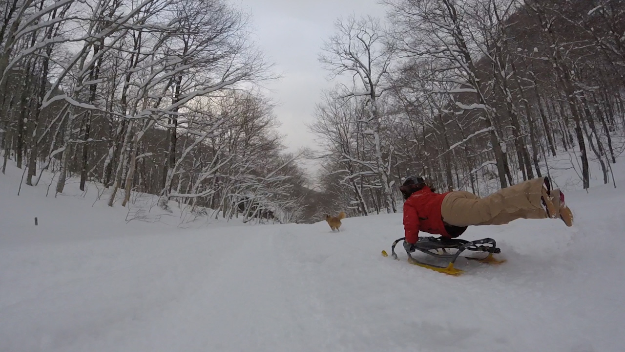 Darin' Erin: Hammerhead Sledding - YouTube