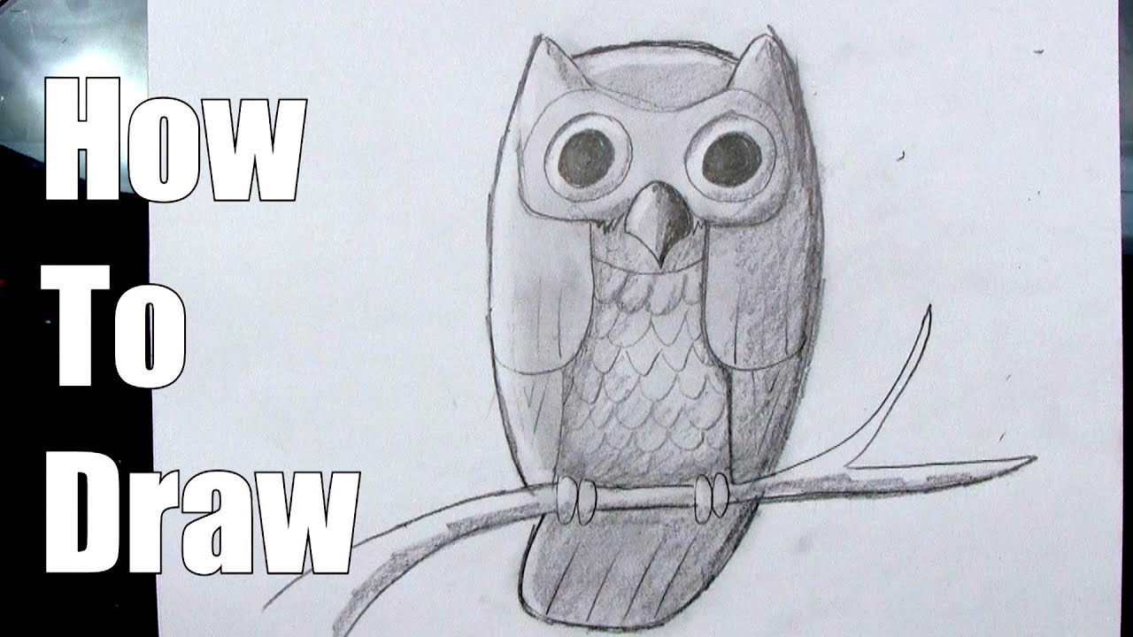 How To Draw an Owl ! - YouTube