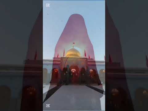 Hz zeyneb sinezeni zeynebem can üsteyem 