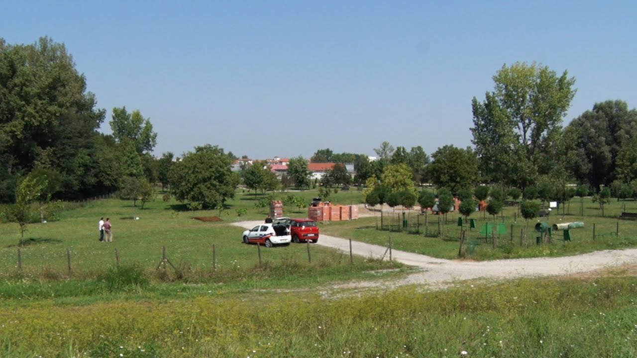 Osvetljavanje trim staze i izgradnja prirodnjačkog doma - YouTube