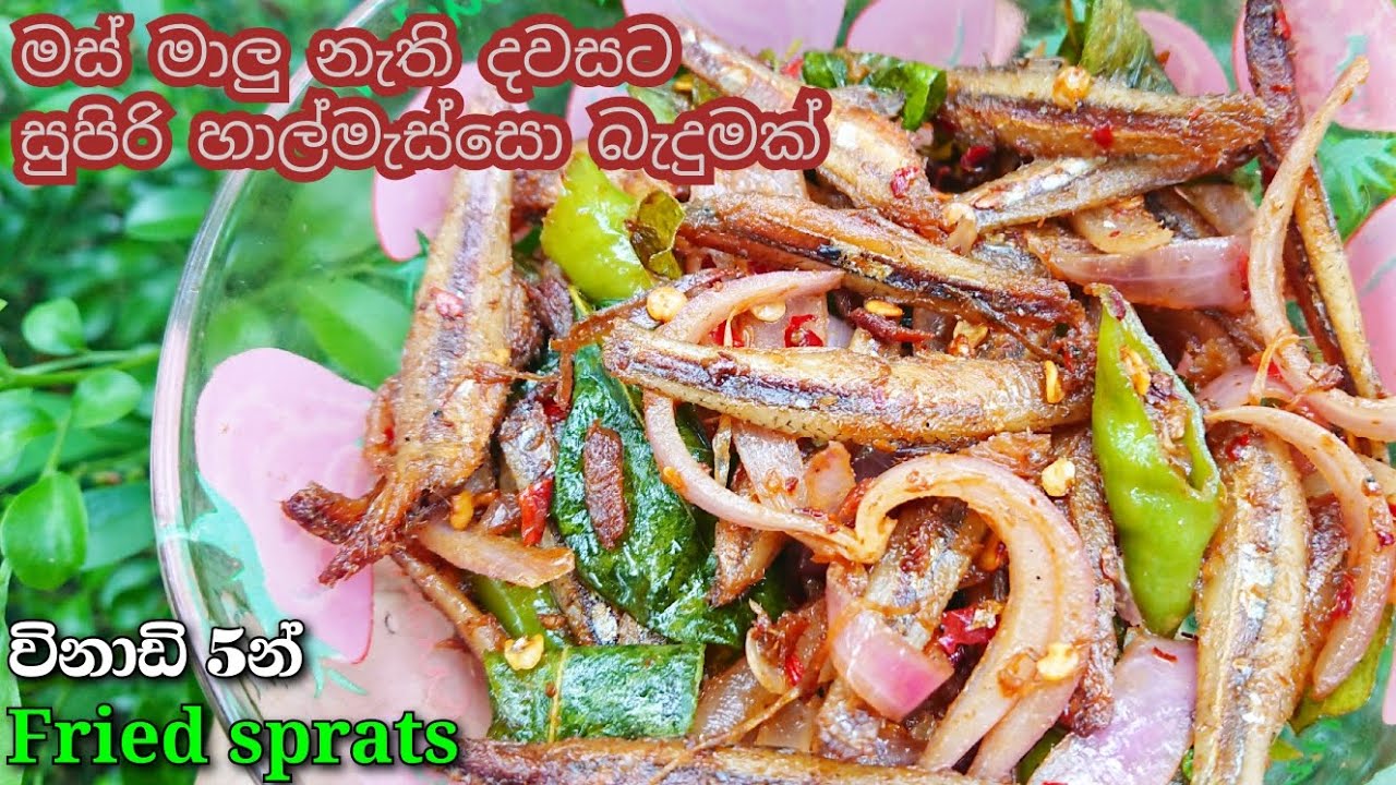 සුපිරි හාල්මැස්සො බැදුමක් | halmasso thel dala | halmasso badum | fried ...