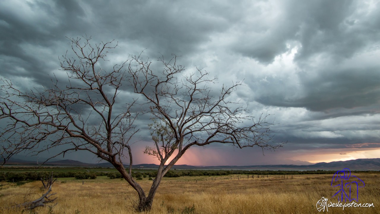 Rain & Thunderstorm Loop in Time-lapse - YouTube