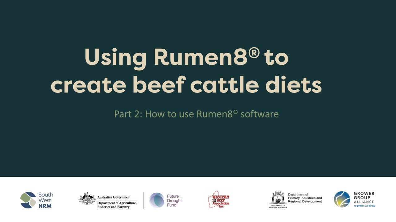 Using Rumen8 software to create cattle diets - Part 2 - How to use ...