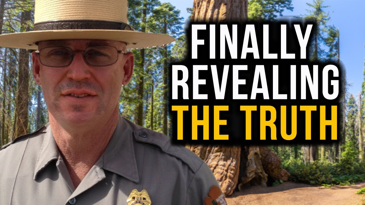 Park Ranger REVEALS What EXISTS in Redwood National Park - YouTube