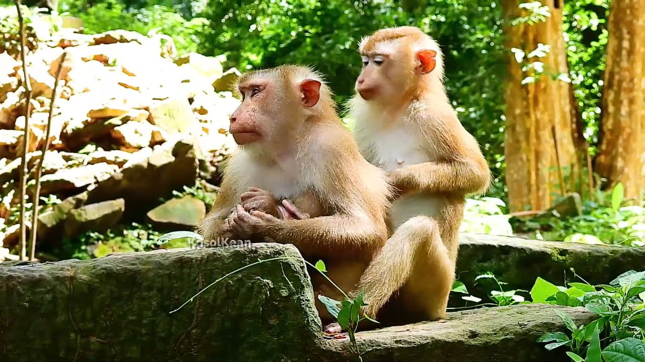 Libby lost weight unhappy Lila is also one of best her friend she helps ...