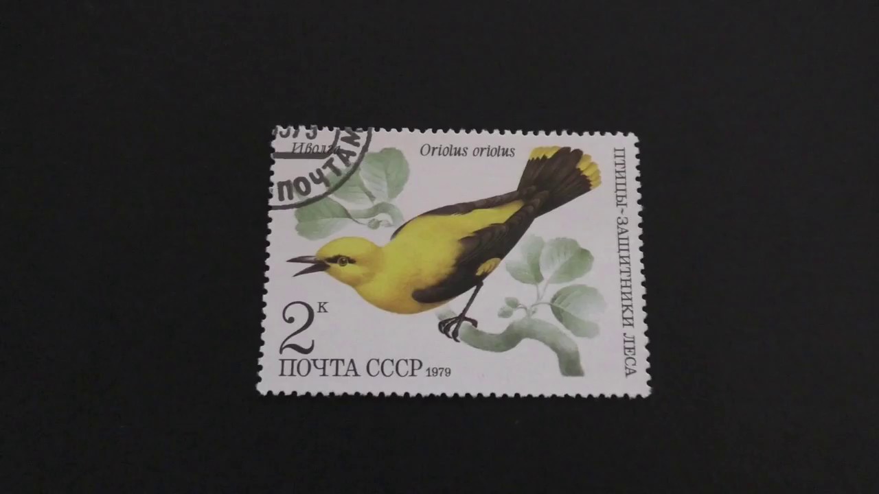 Postage stamp. USSR. Birds-Defenders of forests. Oriole. 1979. Price 2 ...