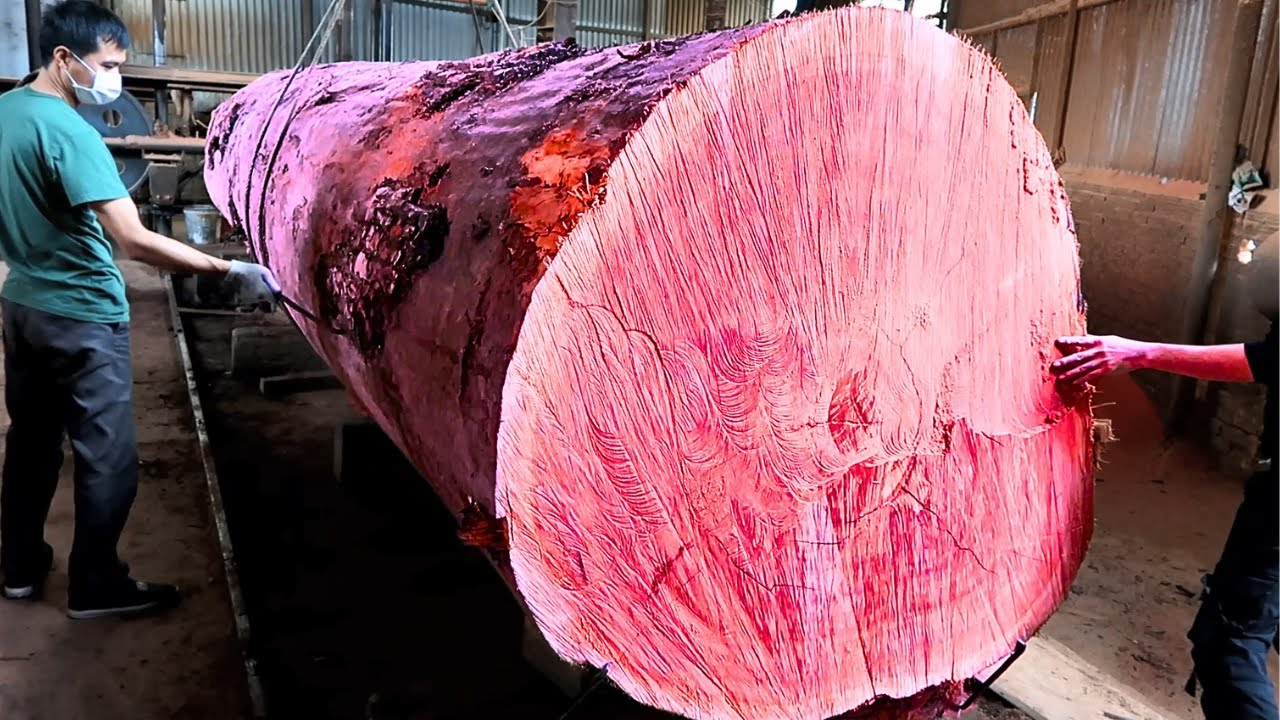 forest wood // man turns giant trees into beautiful boards with a giant ...