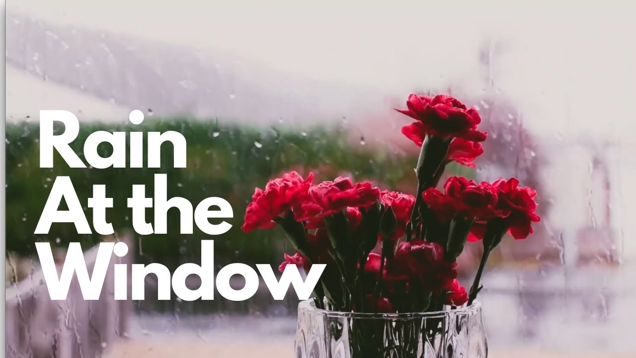 10 Hours of Rain at the Window ASMR | Gentle Rain Sounds for Sleep ...