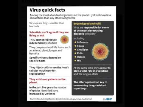 Quick facts about Viruses - YouTube