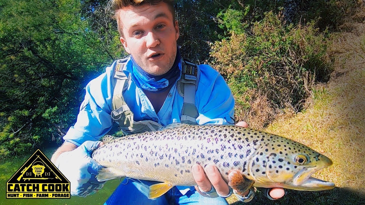 Big Brown Trout caught on my own fly + Rainbow Trout Pancakes ...