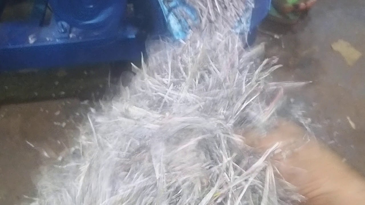 Scrap paper cutting machine - YouTube