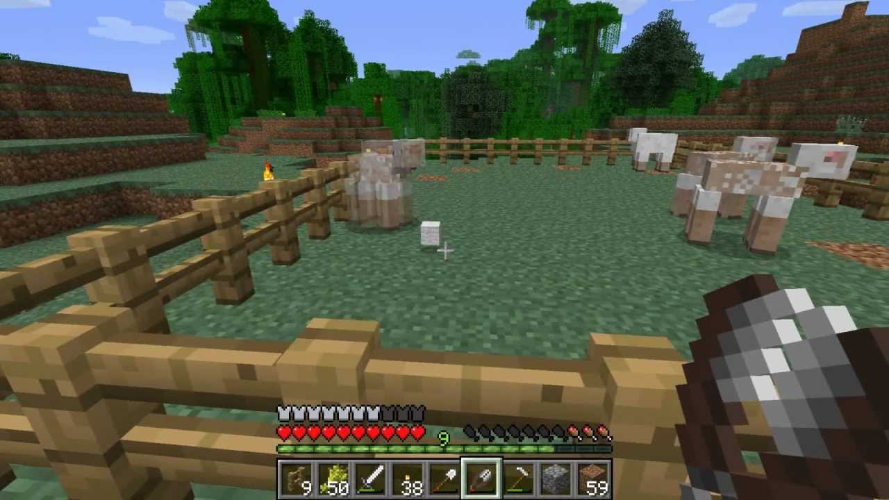 Video de Minecraft - Poladoful - YouTube