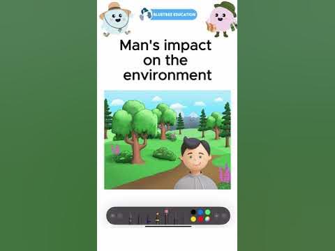 Man's Impact on the Environment - Concepts Every Primary 6 Student ...