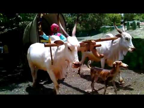 Siddhagiri Gramjivan Museum (Kaneri Math) Kolhapur Part 1 - YouTube