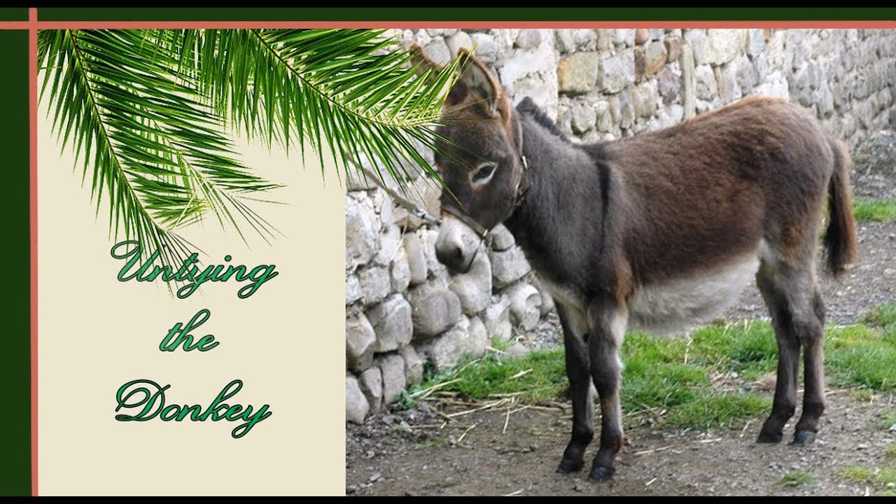 Untying The Donkey - YouTube