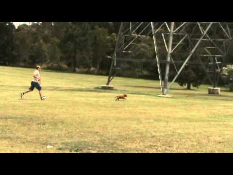Lure racing 18-09-10 (23).MPG - YouTube
