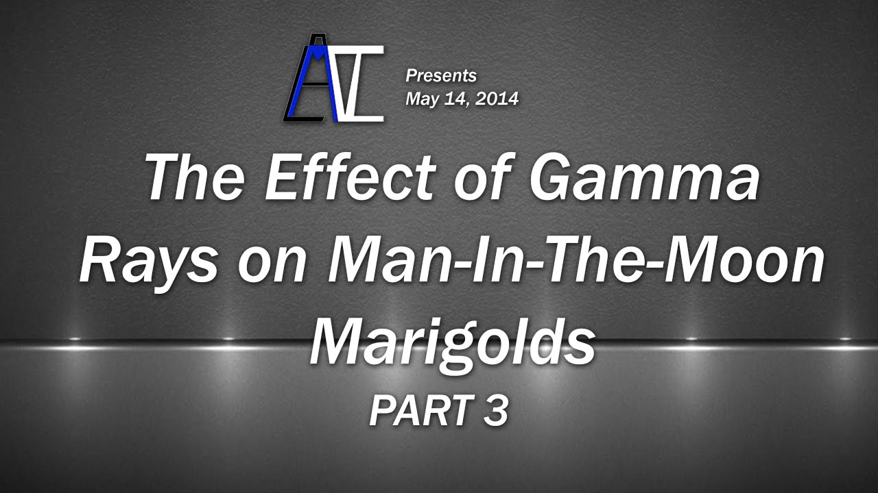 The Effect of Gamma Rays on Man-In-The-Moon Marigolds [Part 3] - YouTube